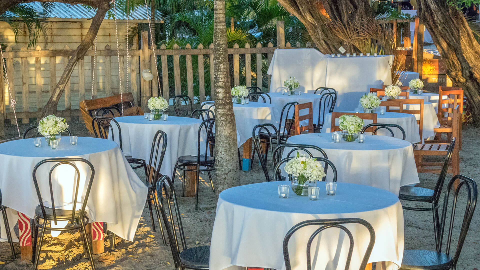 Upcoming Events — CEPIA Costa Rica